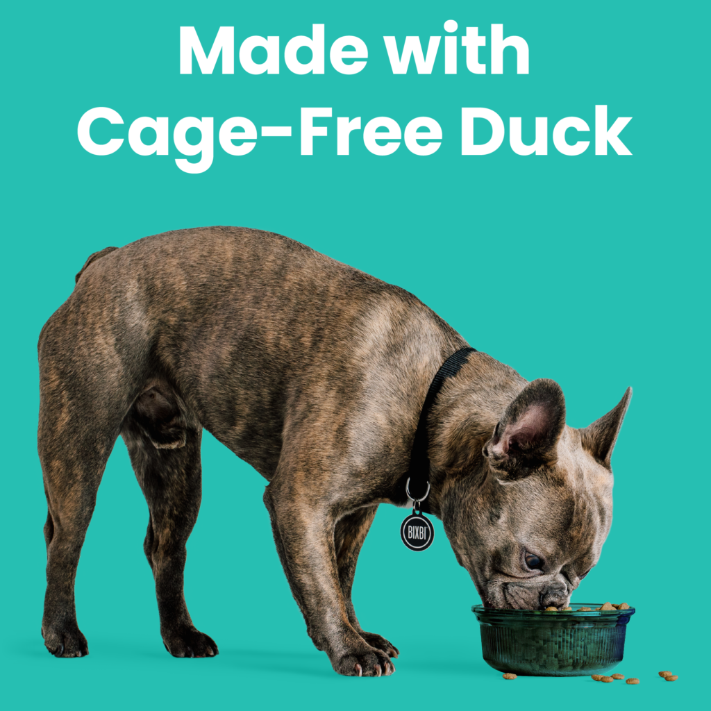 Rawbble® Dry Food for Dogs - Duck Recipe • BIXBI