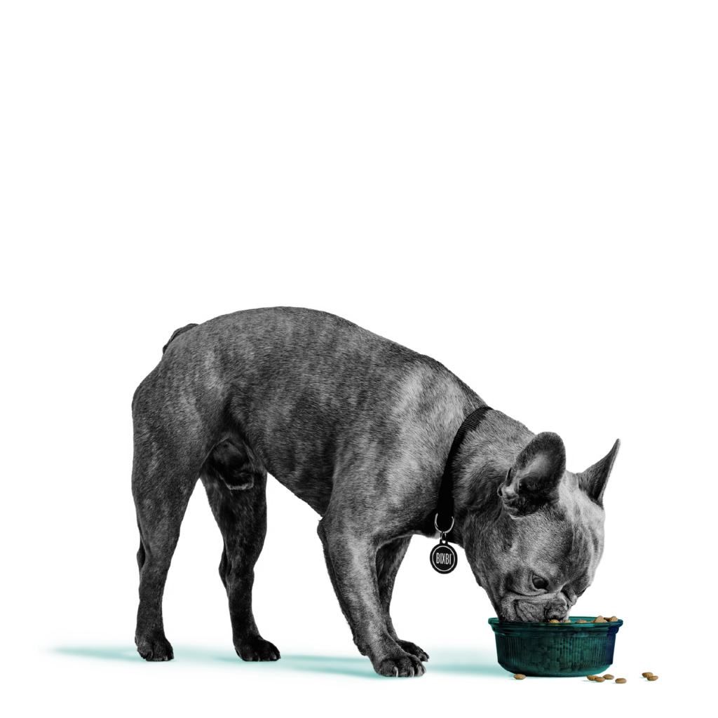Rawbble® Dry Food for Dogs - Duck Recipe • BIXBI
