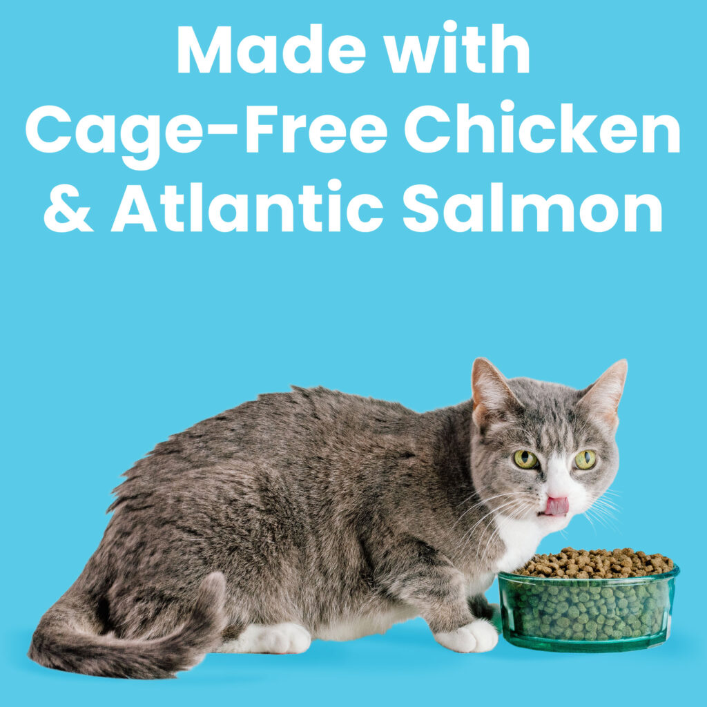 Liberty® Dry Food for Cats - Indoor Health Chicken & Salmon Recipe • BIXBI