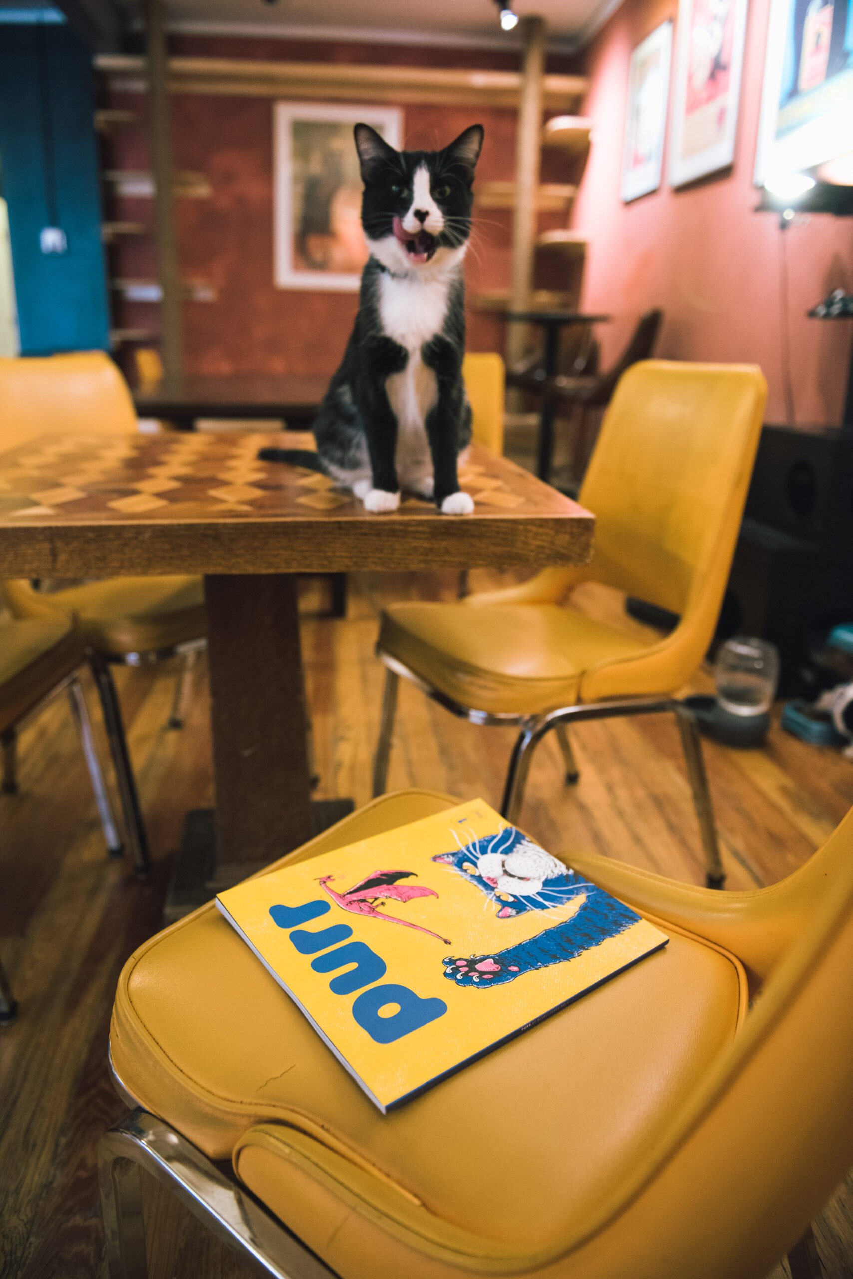Magazine • BIXBI