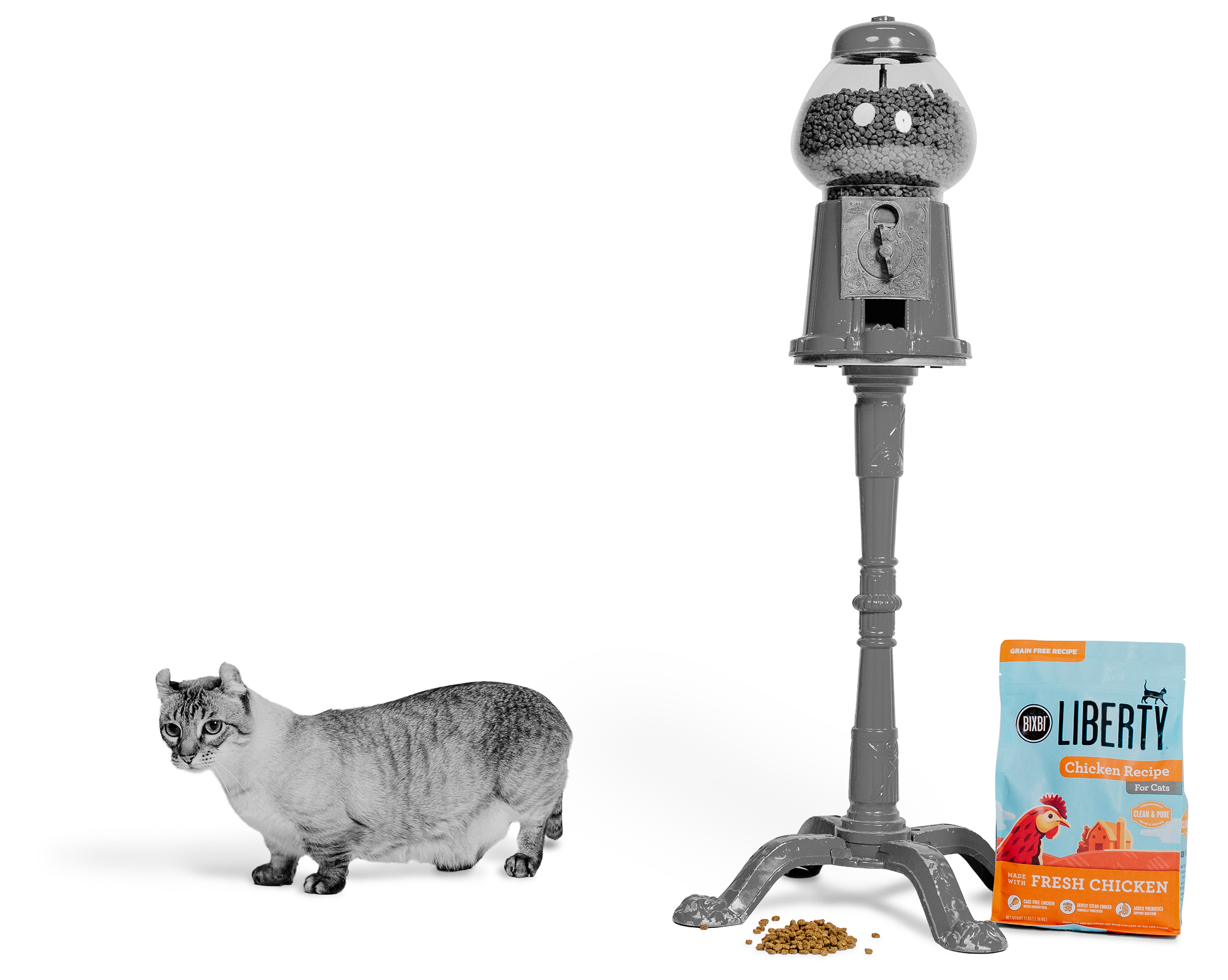Liberty Food for Cats • BIXBI