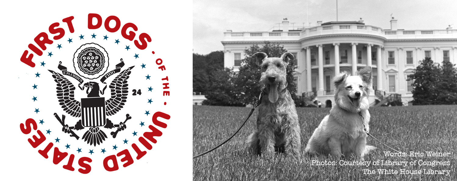 First Dogs • BIXBI