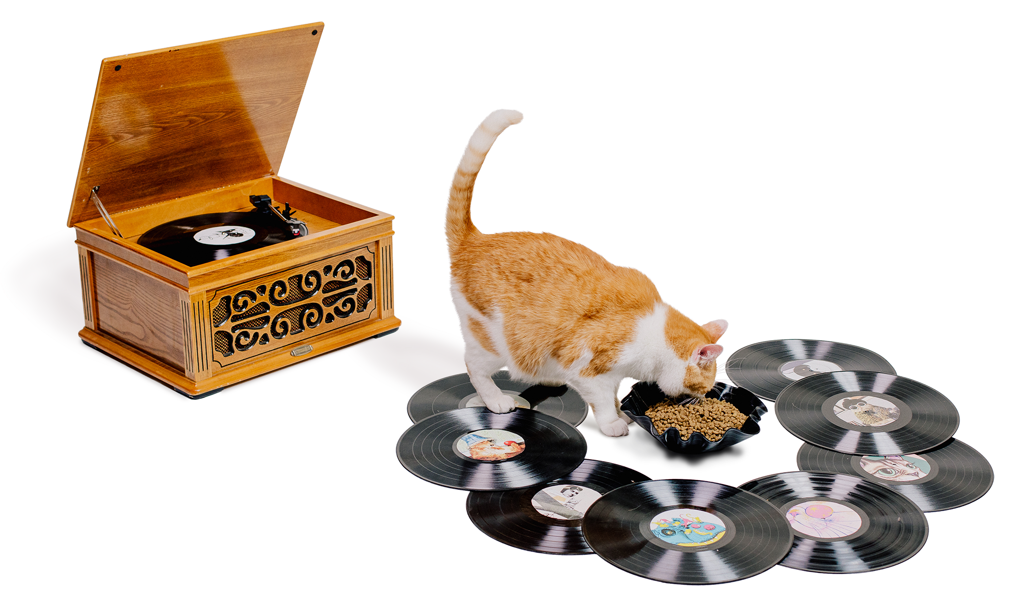 Dry Cat Food • BIXBI