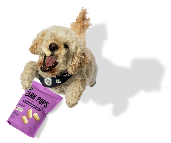 Crunchy Dog Treats • BIXBI
